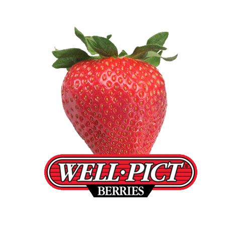 Strawberry Berry Sticker by Well Pict Berries for iOS & Android | GIPHY