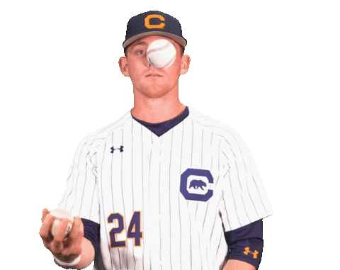 Uc Berkeley Baseball Sticker by Cal Athletics for iOS & Android | GIPHY