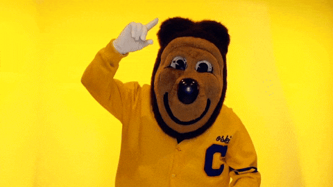 Golden Bear California GIF by Cal Athletics - Find & Share on GIPHY