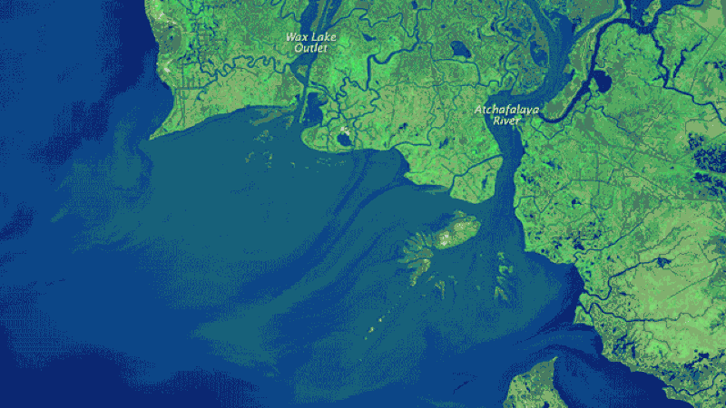 Deltas S GIF - Find & Share on GIPHY