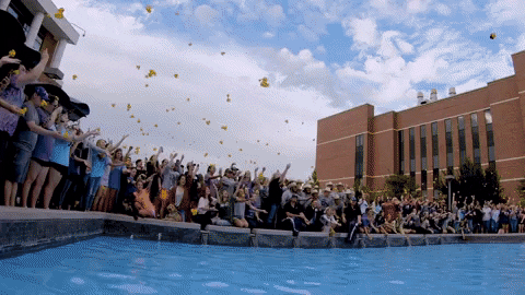 Tarleton State University GIF - Find & Share on GIPHY
