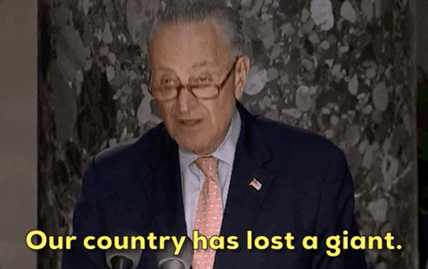 Chuck Schumer Tribute GIF - Find & Share on GIPHY