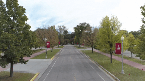 Msum GIF by Minnesota State University Moorhead - Find & Share on GIPHY