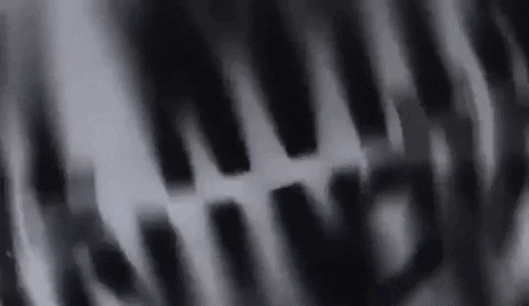 Creature Feature Monster Movies GIF - Find & Share on GIPHY