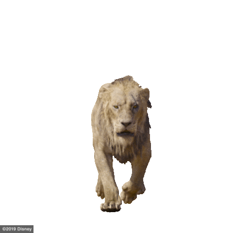 The Lion King Running Sticker by Walt Disney Studios for iOS & Android ...
