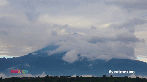Visit Mexico GIF - Find & Share on GIPHY