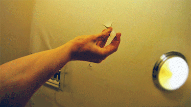 Eye Drop GIFs - Find & Share on GIPHY