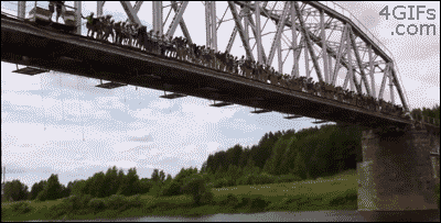 Bridge GIF - Find & Share on GIPHY