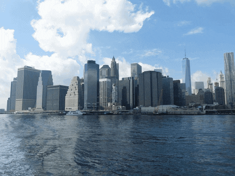 New York GIFs - Find & Share on GIPHY