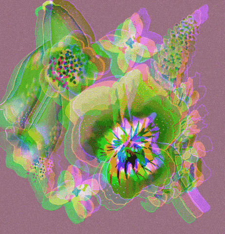 Flower GIF by Daisy Lemon - Find & Share on GIPHY