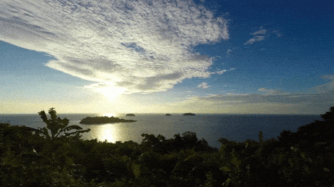 Island Thailand GIF - Find & Share on GIPHY