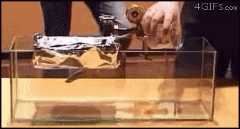 Aluminum Foil GIF - Find & Share on GIPHY