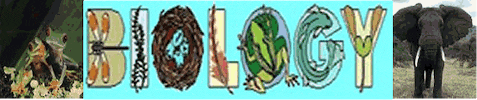 Biology Animated Gif