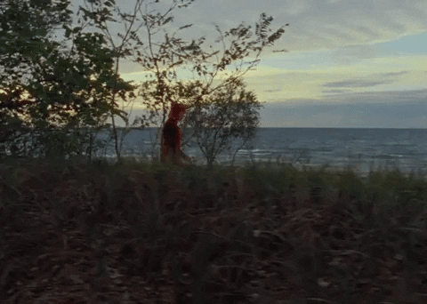 Ms California GIF by Beach Bunny - Find & Share on GIPHY