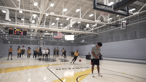 Basketball Wisconsin GIF by Milwaukee Panthers - Find & Share on GIPHY