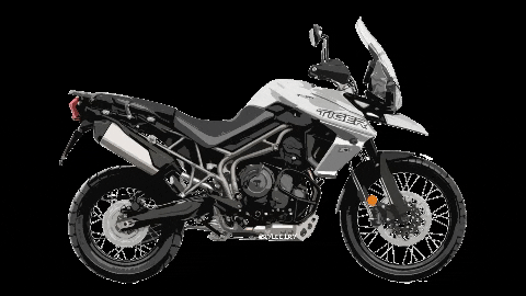 Triumph Sg GIF by Triumph Motorcycles Singapore - Find & Share on GIPHY