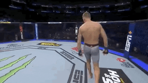 Krzysztof Jotko GIF by UFC - Find & Share on GIPHY