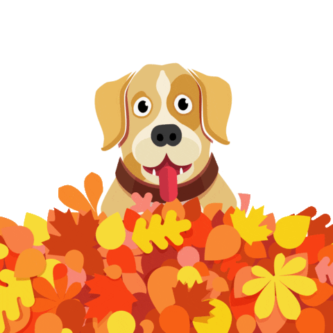 Fall Season Dog Sticker by Petland Florida for iOS & Android | GIPHY