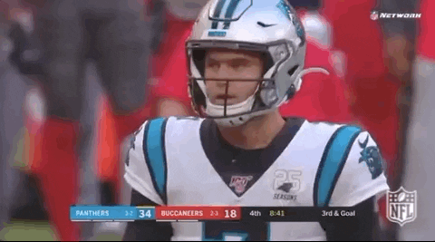 Carolina Panthers Football GIF by NFL - Find & Share on GIPHY