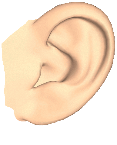 Badblueprints Stickers - Find & Share on GIPHY