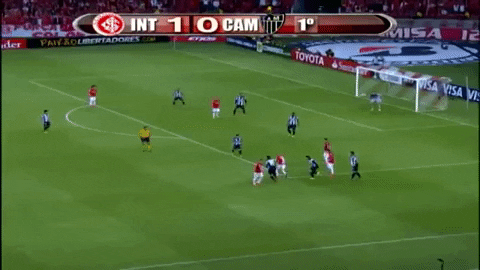 Dale Libertadores GIF by Sport Club Internacional - Find & Share on GIPHY
