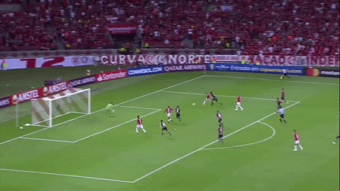 Beira-Rio Patrick GIF by Sport Club Internacional - Find & Share on GIPHY