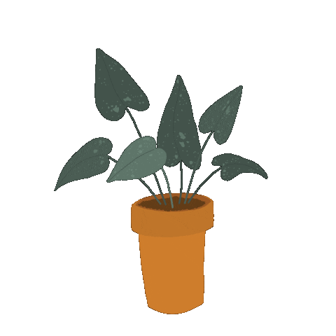 Plant Sticker by zartmintdesign for iOS & Android | GIPHY