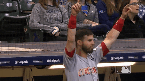 Jesse Winker Baseball GIF by Cincinnati Reds - Find & Share on GIPHY