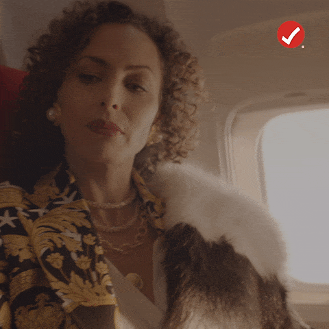 TurboTax Canada GIF - Find & Share on GIPHY