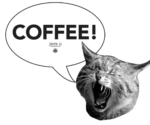 Cat Coffee Sticker by JavaUOfficial for iOS & Android | GIPHY