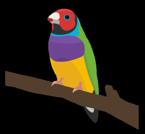 ViewSonic GIF - Find & Share on GIPHY