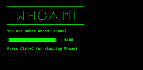 GitHub - Ripax/Whoami: Whoami is a Linux privacy tool developed to keep ...