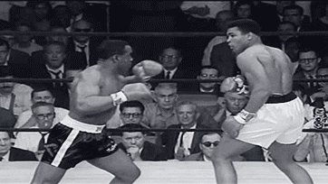 Boxing GIF - Find & Share on GIPHY