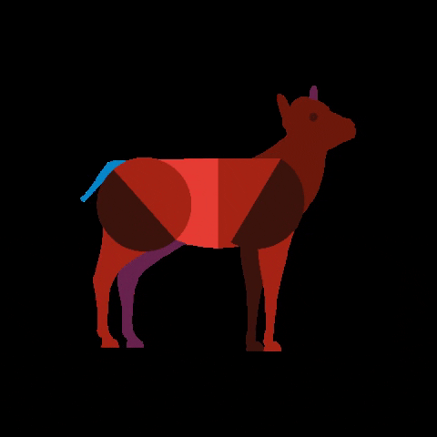 Lamb GIF by Koopeenkoe - Find & Share on GIPHY