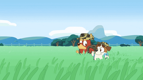 Army GIF by Bluey - Find & Share on GIPHY
