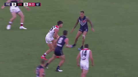 Freohighlights Aflfreosaints GIF by Fremantle Dockers - Find & Share on ...