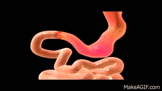 Stomach GIFs - Find & Share on GIPHY