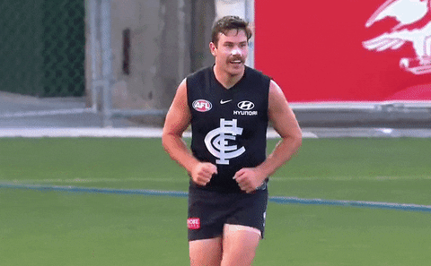 Carlton Blues Afl GIF by Carlton Football Club - Find & Share on GIPHY