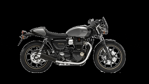 Triumph Sg GIF by Triumph Motorcycles Singapore - Find & Share on GIPHY