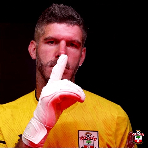 Premier League Football GIF by Southampton FC - Find & Share on GIPHY