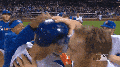 Celebrate Ny Mets GIF by New York Mets - Find & Share on GIPHY
