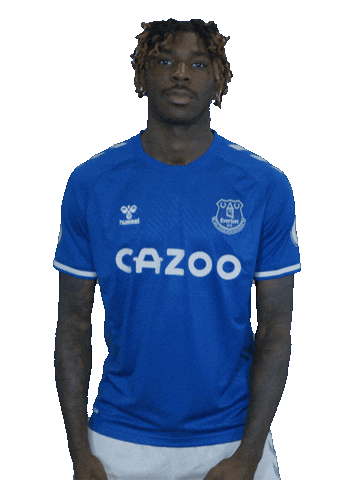 Celebrate Premier League GIF by Everton Football Club - Find & Share on ...