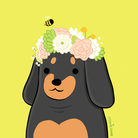 Happy Dog GIF by Stefanie Shank - Find & Share on GIPHY