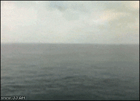 F 4 Phantom GIFs - Find & Share on GIPHY