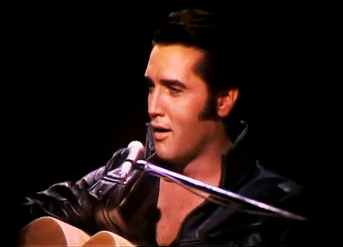 Elvis Presley Gif Elvis Presley GIF Find & Share On GIPHY