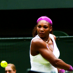 Serena Williams Tennis GIF - Find & Share on GIPHY