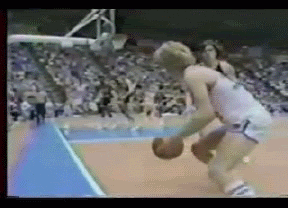 Bird Larry GIF - Find & Share on GIPHY