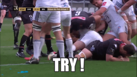 Try Essai GIF by FCG Rugby - Find & Share on GIPHY