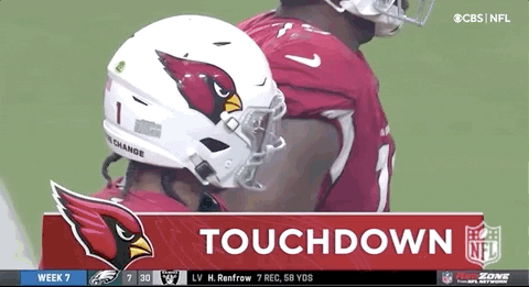 Arizona Cardinals Football GIF by NFL - Find & Share on GIPHY