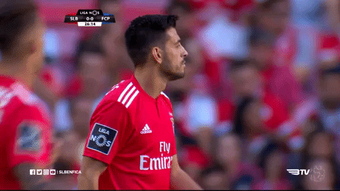 Sl Benfica Slbgifs GIF by Sport Lisboa e Benfica - Find & Share on GIPHY